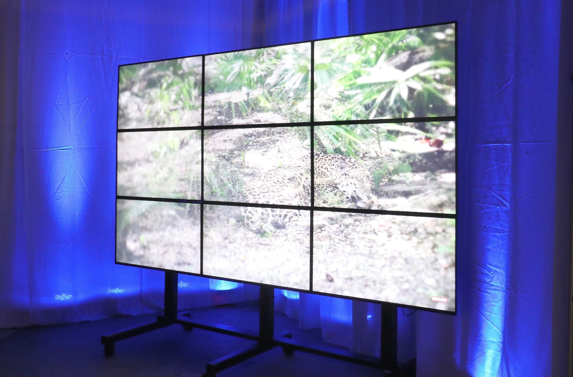 HD Video Wall TV Display Rentals In Philadelphia And Suburbs HD Video Wall TV Display Rentals In Philadelphia And Suburbs